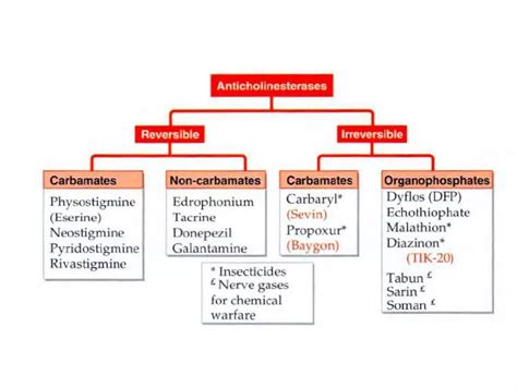 Cholinergic Drugs Ppt