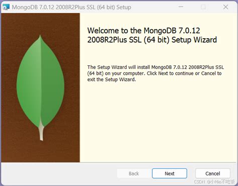 零基础 Mongodb 快速安装并图解教程全网最详细mongodb安装教程图解 Csdn博客