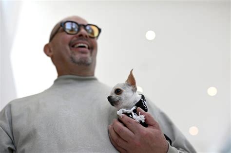 Pictures Pearl A Chihuaha Has Been Declared The Worlds Smallest