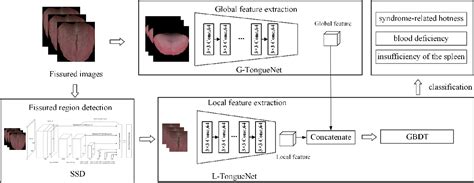 Table 1 From Classification Of Fissured Tongue Images Using Deep Neural Networks Semantic Scholar