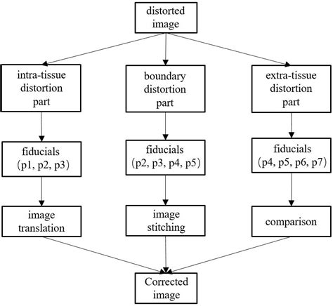 Flowchart Of Correction Download Scientific Diagram