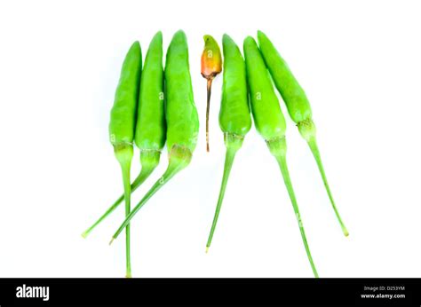 Colour Background Chilli Cut Out Stock Images And Pictures Alamy