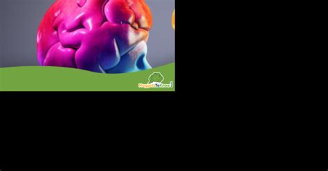 Knowledge Vs Intelligence Unpacking The Distinction With Examples