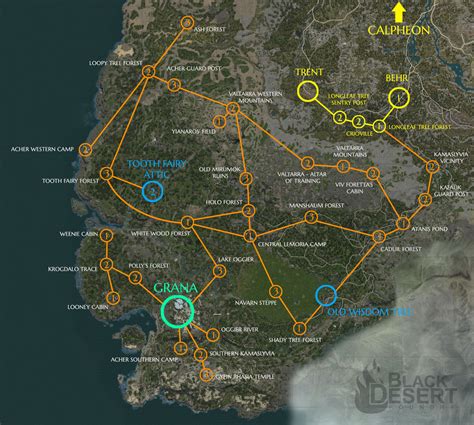 Интерактивная карта бдо ресурсы 86 фото