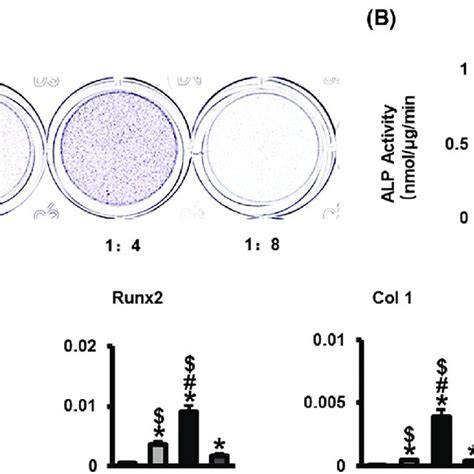 Freezethaw Cycle And Dnase Decellularization Removed 90 Dna And
