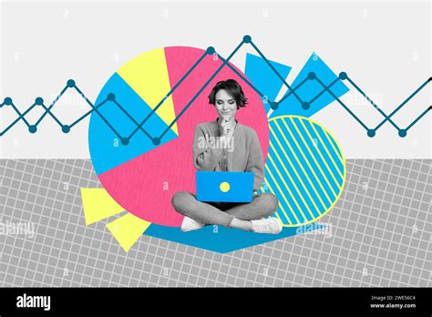 Collage 3d Pinup Pop Retro Sketch Image Of Smart Clever Lady Working Device Creating Startup