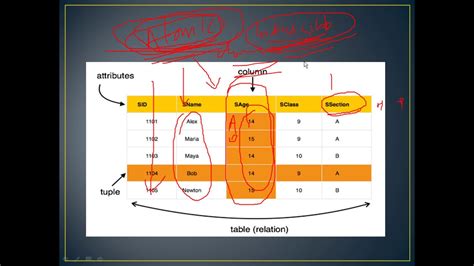 relational data model in dbms malayalam dbms lecture 8 youtube