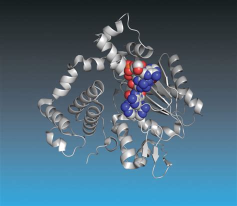 ChIP Sequencing Archives GEN Genetic Engineering And Biotechnology News