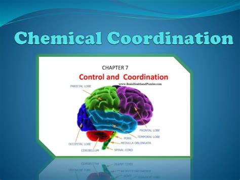 Chemical Coordination Ppt