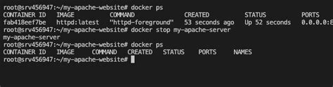 Building A Web Server Docker File