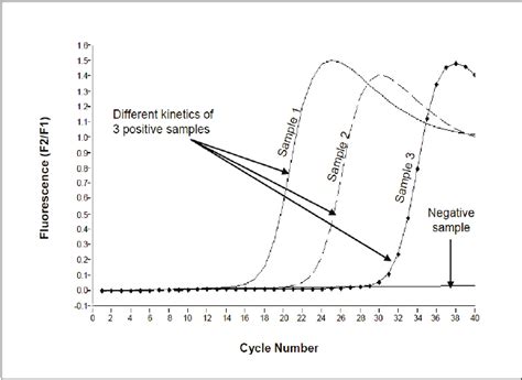 Example Of Amplification Curves Who Laboratory Protocol Download