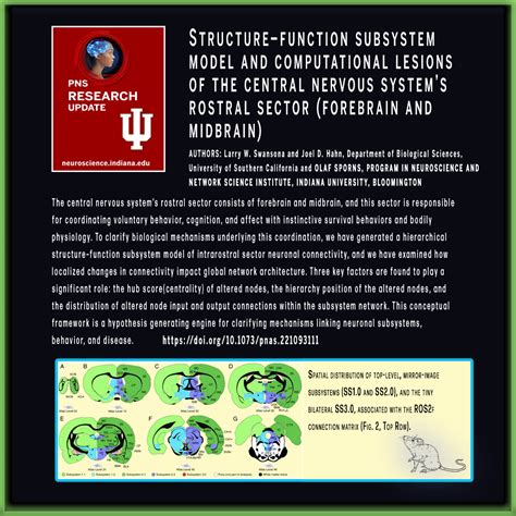 Structurefunction Subsystem Model And Computational Lesions Of The
