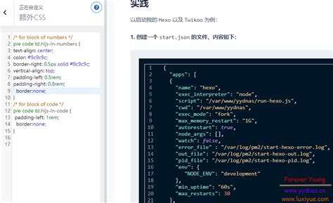 代码高亮highlight js的使用以及添加行号 Forever Young