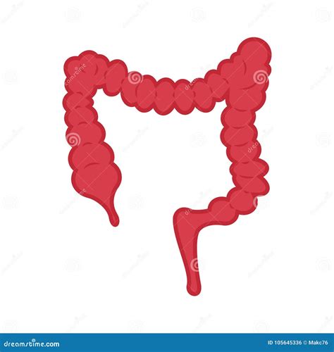 Large Intestine Icon Vector Illustration Stock Vector Illustration Of