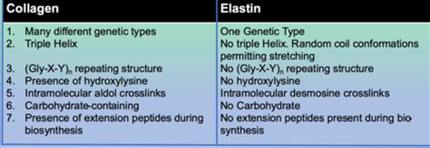 ECM Lecture ODSC 511C Flashcards Quizlet