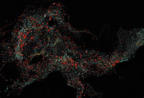 Arize Blog And News Ml Observability And Ai Monitoring Platform