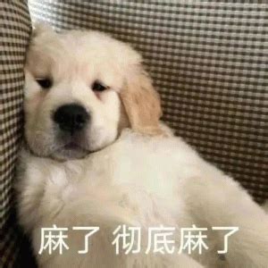 麻了表情包图片 求表情网 斗图从此不求人