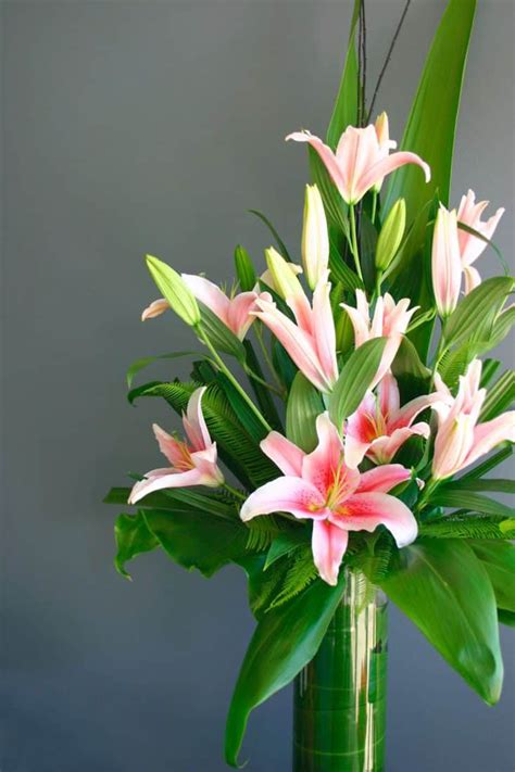 15 Awesome Lily Flower Arrangements Home Decor Bliss