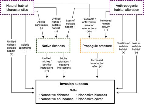 A Conceptual Path Diagram Illustrating The Hierarchical Relationships