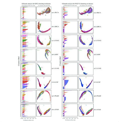 Silhouette Coefficient Analysis For The Wgcna And Kisl Algorithms The Download Scientific
