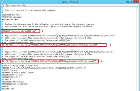 How To Restore Microsoft Sql Databases Using Netbackup Settlersoman