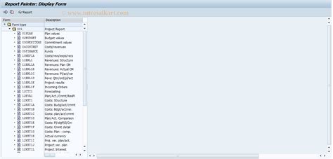 CJE SAP Tcode Display Project Report Layout CJE SAP Tcode Display Project Report Layout