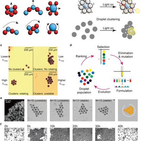 Active Colloidal Systems As Programmable Active Matter A Dynamic