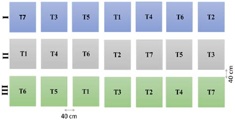 Layout Of The Experiment Field Download Scientific Diagram