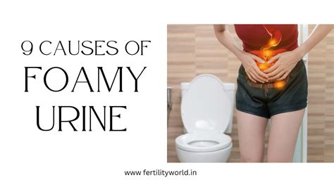 Urine Causes Symptoms Treatment Urine Hematuria Integrative Urology