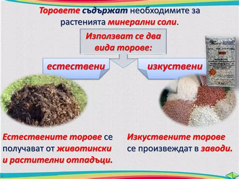 3 Почва ЧП 4 клас Булвест Pptx