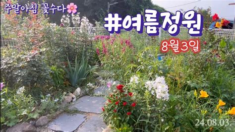 새로운 꽃은 놀랍고🥳여름꽃여름정원 Youtube