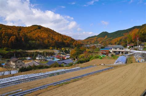 立岩湖と立岩の紅葉