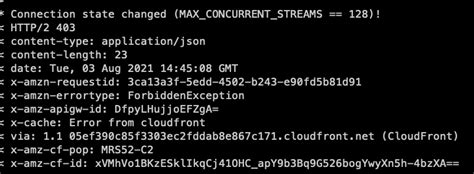 Make Mapbox Gl Js Canvas Render At Higher Dpi Or Scale Without Losing