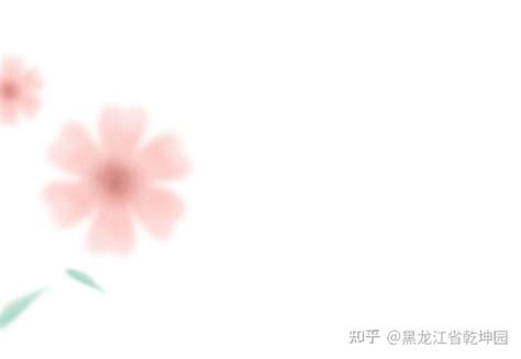 温情五月天 暖心母亲节 知乎