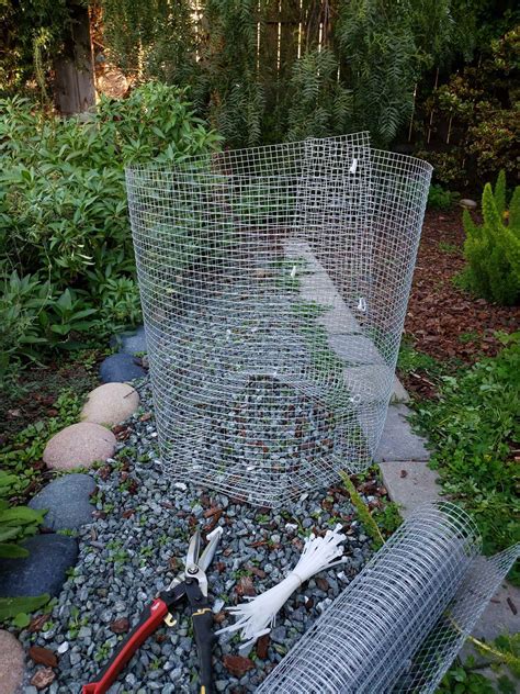 How To Make A Homemade Gopher Basket For Trees ~ Homestead And Chill