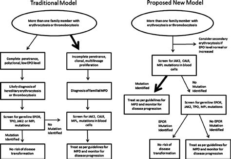 Guidelines For The Work Up Of Patients With A Suspected Inherited Download Scientific Diagram