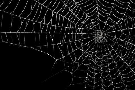 Premium Ai Image Black Background With Cobweb Spider S Web Overlay For Halloween Designs