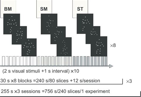Task Design Notes Each Block Lasted 30 Seconds And Consisted Of Ten