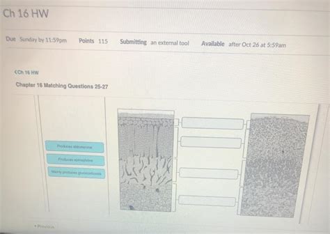 Solved Ch HW Due Sunday By Pm Points Submitting Chegg Com