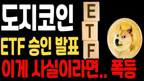 도지코인 전망 Etf 승인 발표 이게 사실이라면 폭등도지코인전망 도지코인분석 비트코인 밈코인 시바이누코인 이더리움 Youtube