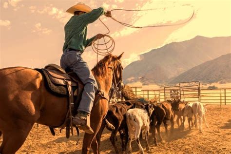 how to monitor and manage snowflake serverless tasks by dev rereddy medium