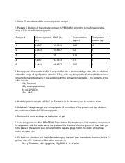 Step By Step Guide To Running SDS PAGE Protocol Course Hero