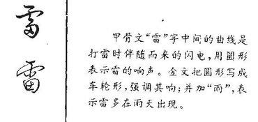 谜语字左右的谜语 50字左右的谜语附加答案 我的海龟汤题目