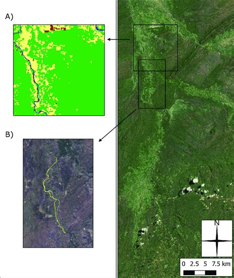 a a section of the 11 m spatial resolution land classification image