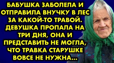 Бабушка заболела и отправила внучку в лес за какой то травой Девушка пропала на три дня она и