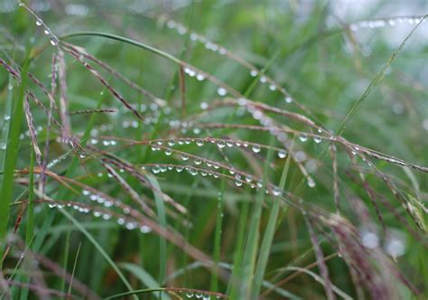 Dew Point Temperature At Which Air Becomes Saturated And Dew Forms