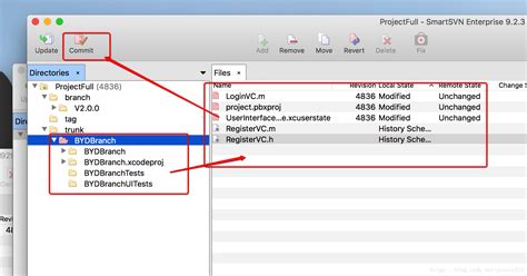 Svn分支开发管理（smartsvn）smartsvn如何创建分支 Csdn博客