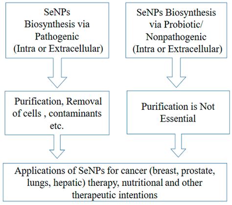 Biogenic Selenium Nanoparticles And Their Anticancer Effects Pertaining To Probiotic Bacteria—a