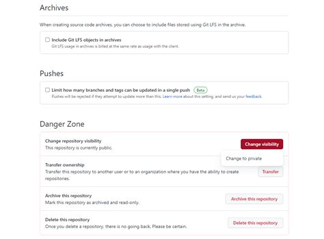 github repository visibility bittyspace