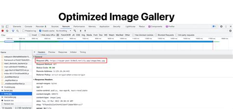 Optimize With Netlify Plugin Cloudinary In Nextjs
